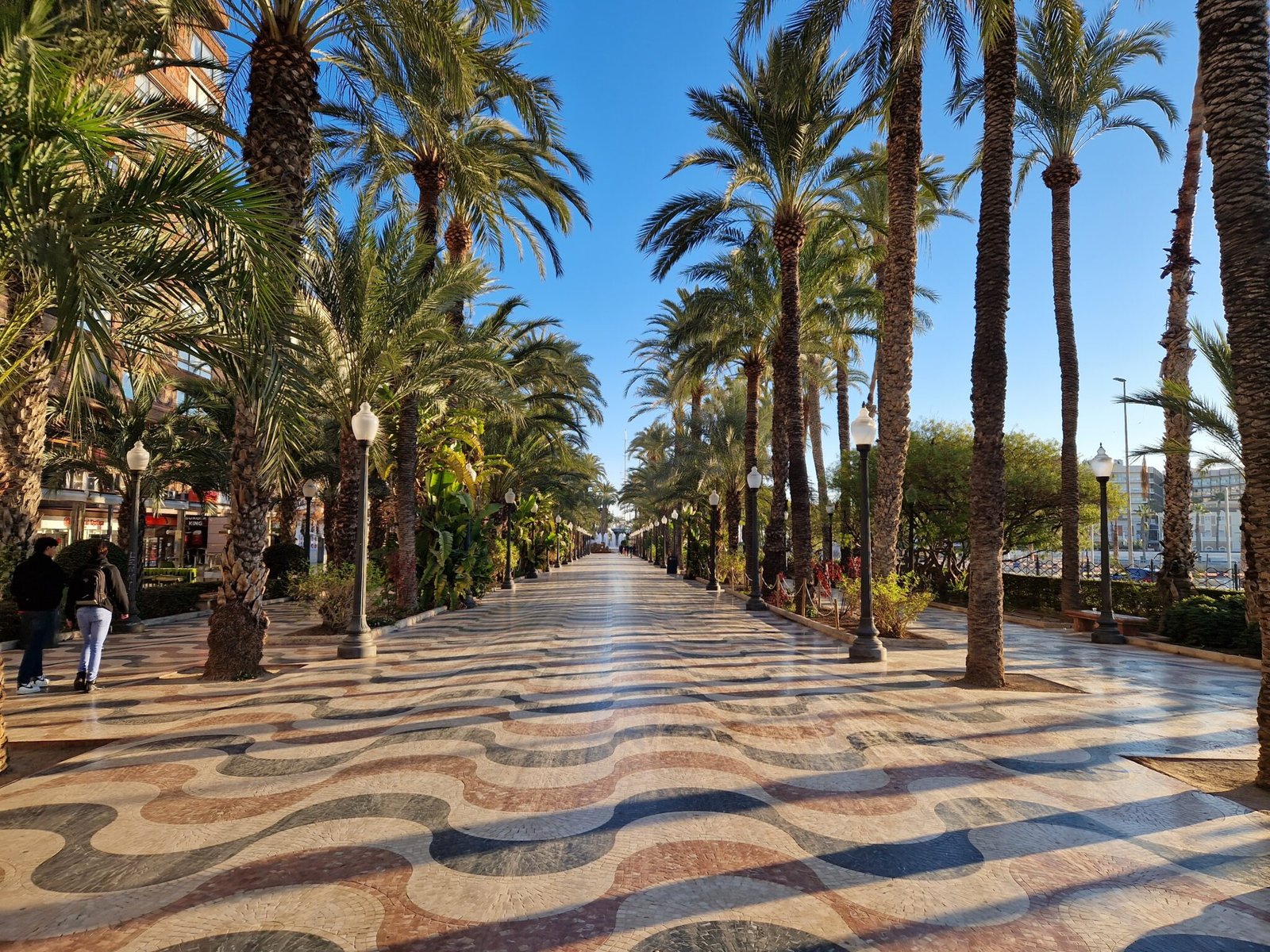 January in Alicante: Weather Insights and Travel Tips - AlicanteAbout.com